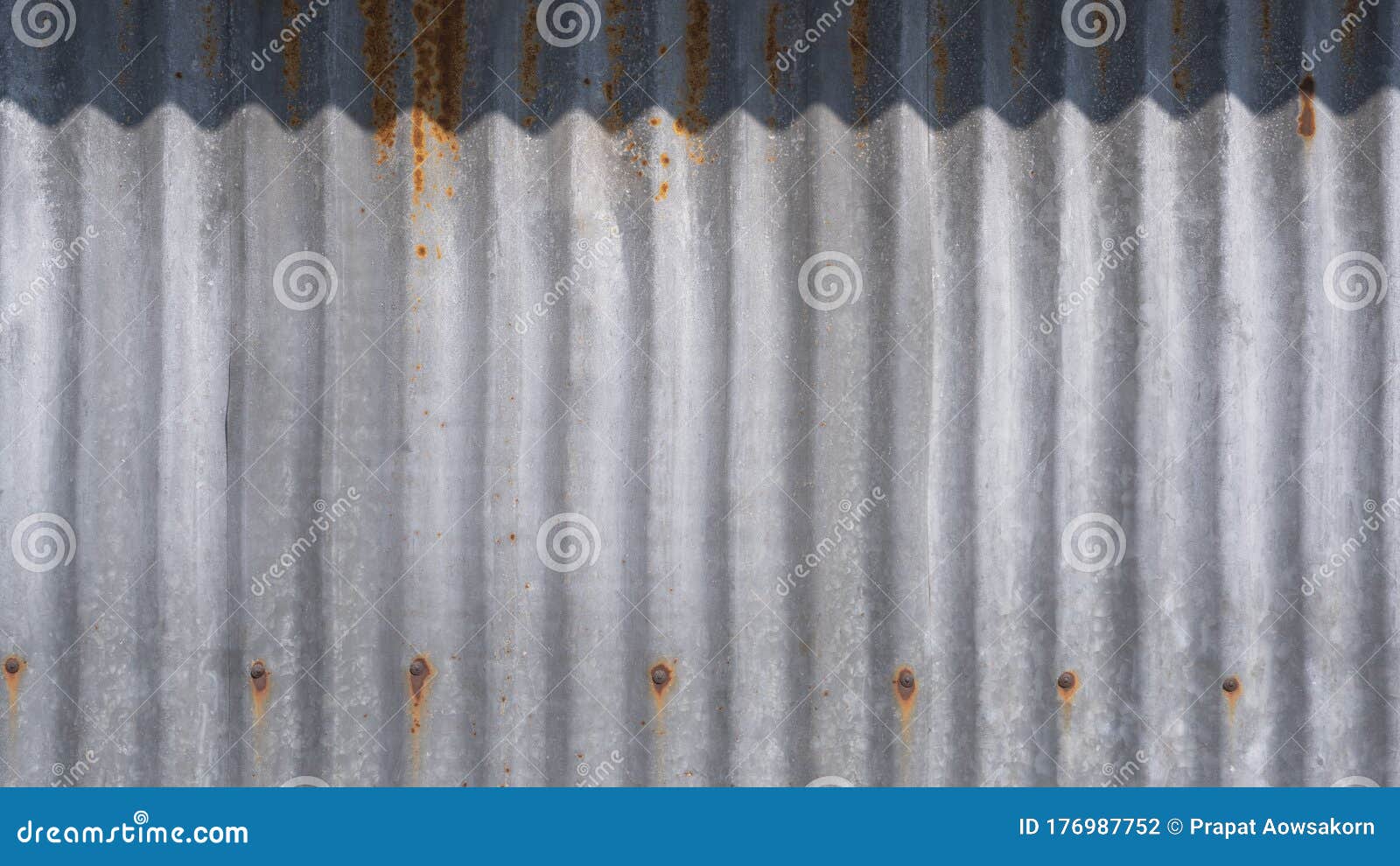 Corrugated Zinc Metal Texture Background. Galvanized Profiled Sheet ...