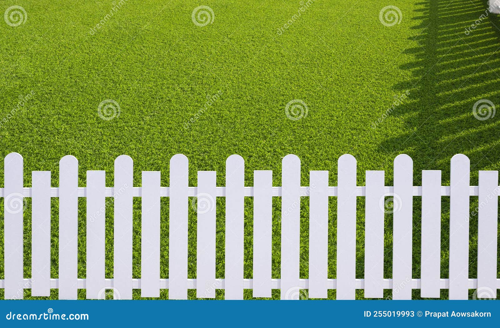 Sunlight and Shadow on Surface of White Wooden Picket on Green ...