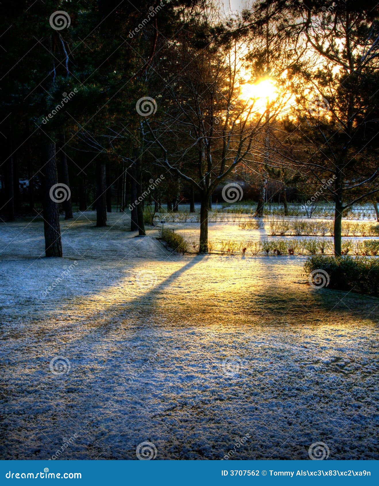 Sunlight and shadows stock photo. Image of colorful, frozen - 3707562