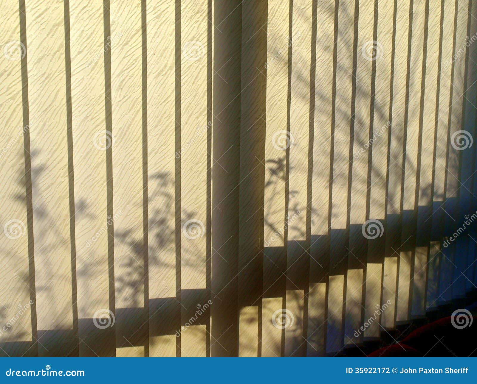 Sunlight and shadows stock photo. Image of window, foliage - 35922172