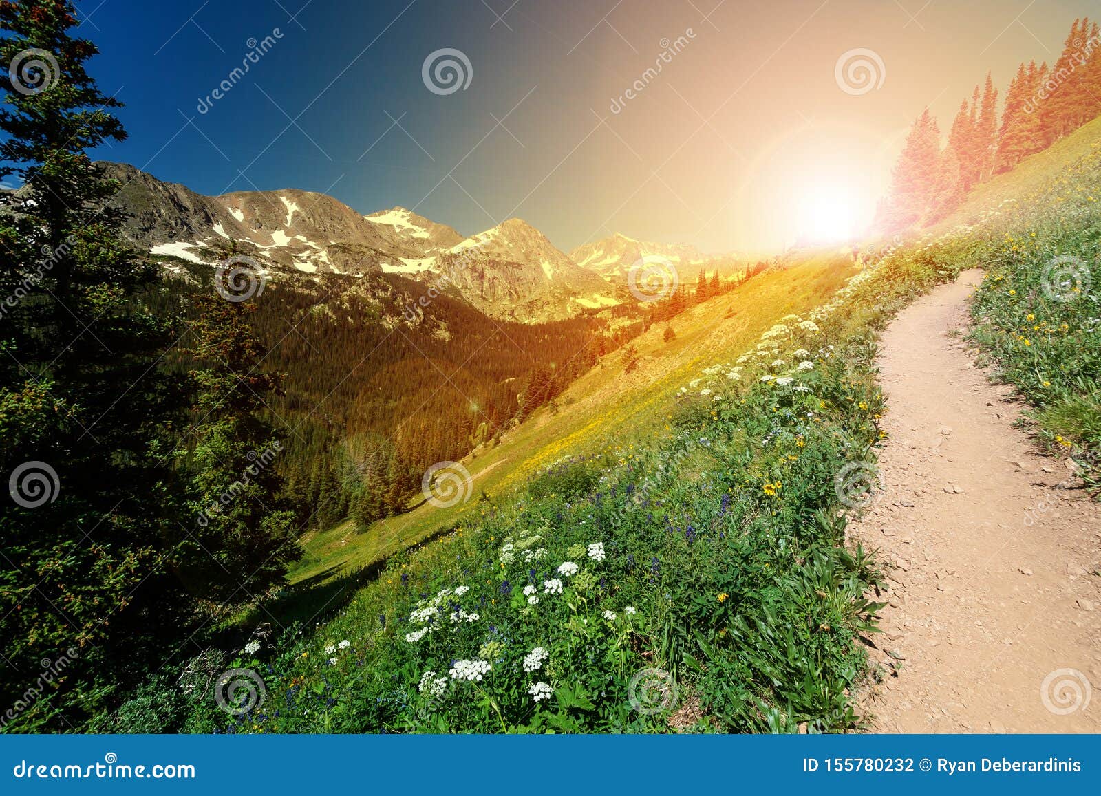 Sunlight Shines on a Dirt Hiking Trail in a Colorado Rocky Mountain ... Sunlight Shines on a Dirt Hiking Trail in a Colorado Rocky Mountain ...