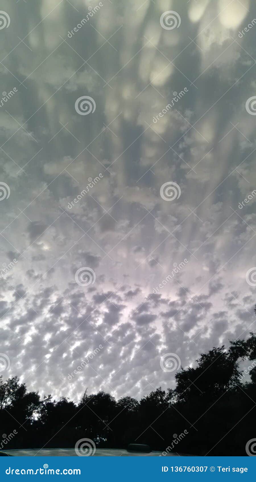 Sunlight bubble stock image. Image of bubble, sunlight - 136760307