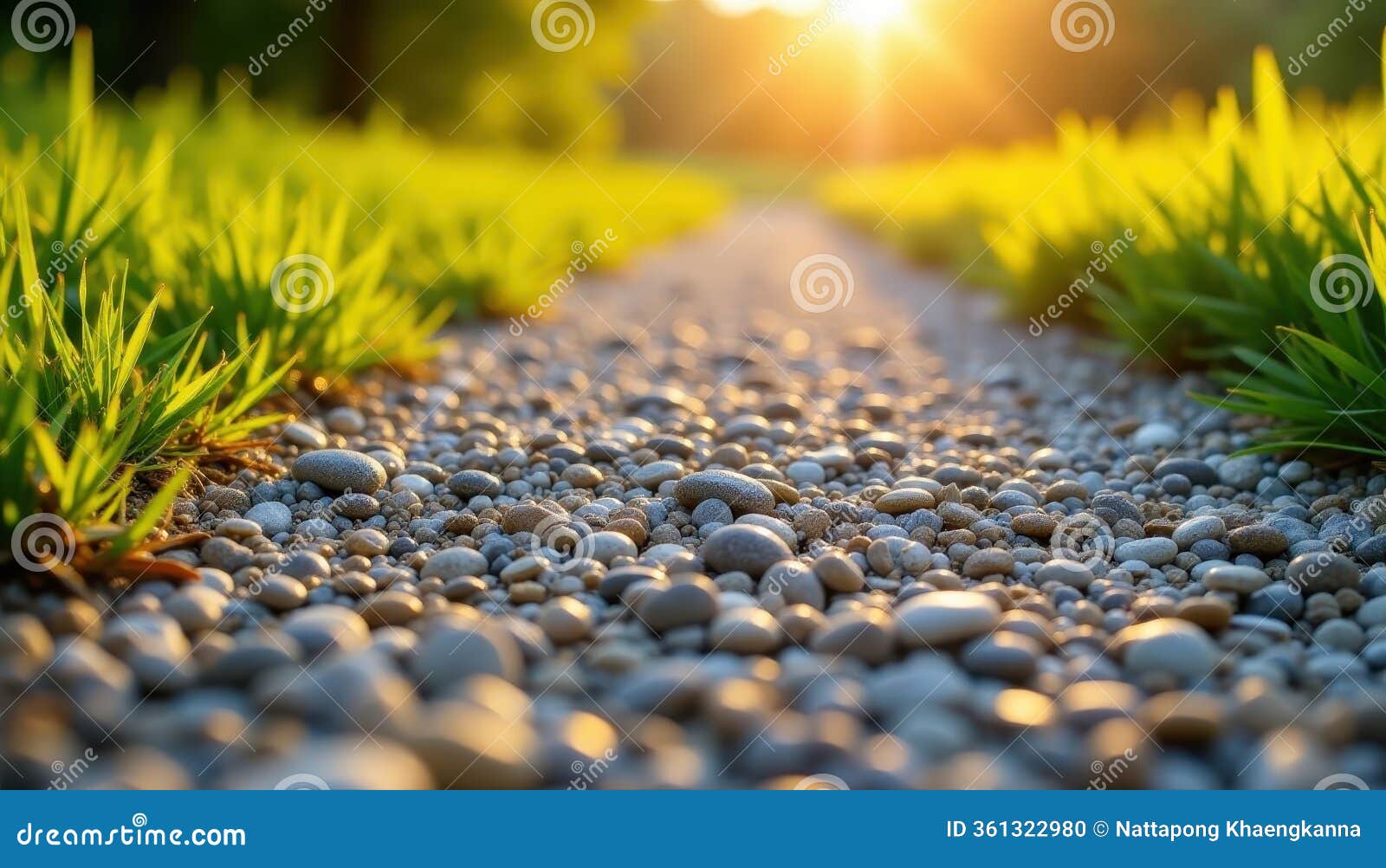 Mud Path Texture Royalty-Free Cartoon | CartoonDealer.com #369390554