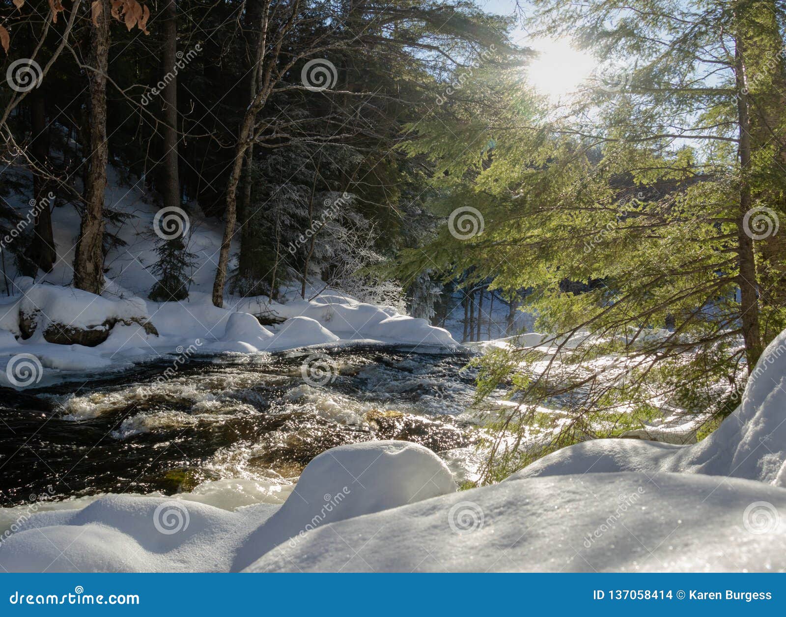 Sunlight on a Snowy Forest River Stock Photo - Image of flows, flowing ...