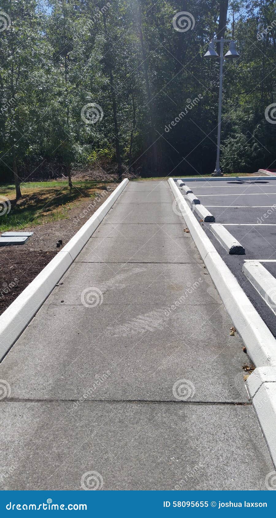 Going nowhere fast stock image. Image of parking, trees - 58095655