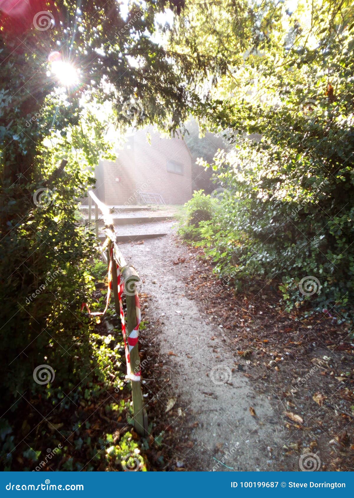 Sunlit pathway stock image. Image of streaming, sunlight - 100199687