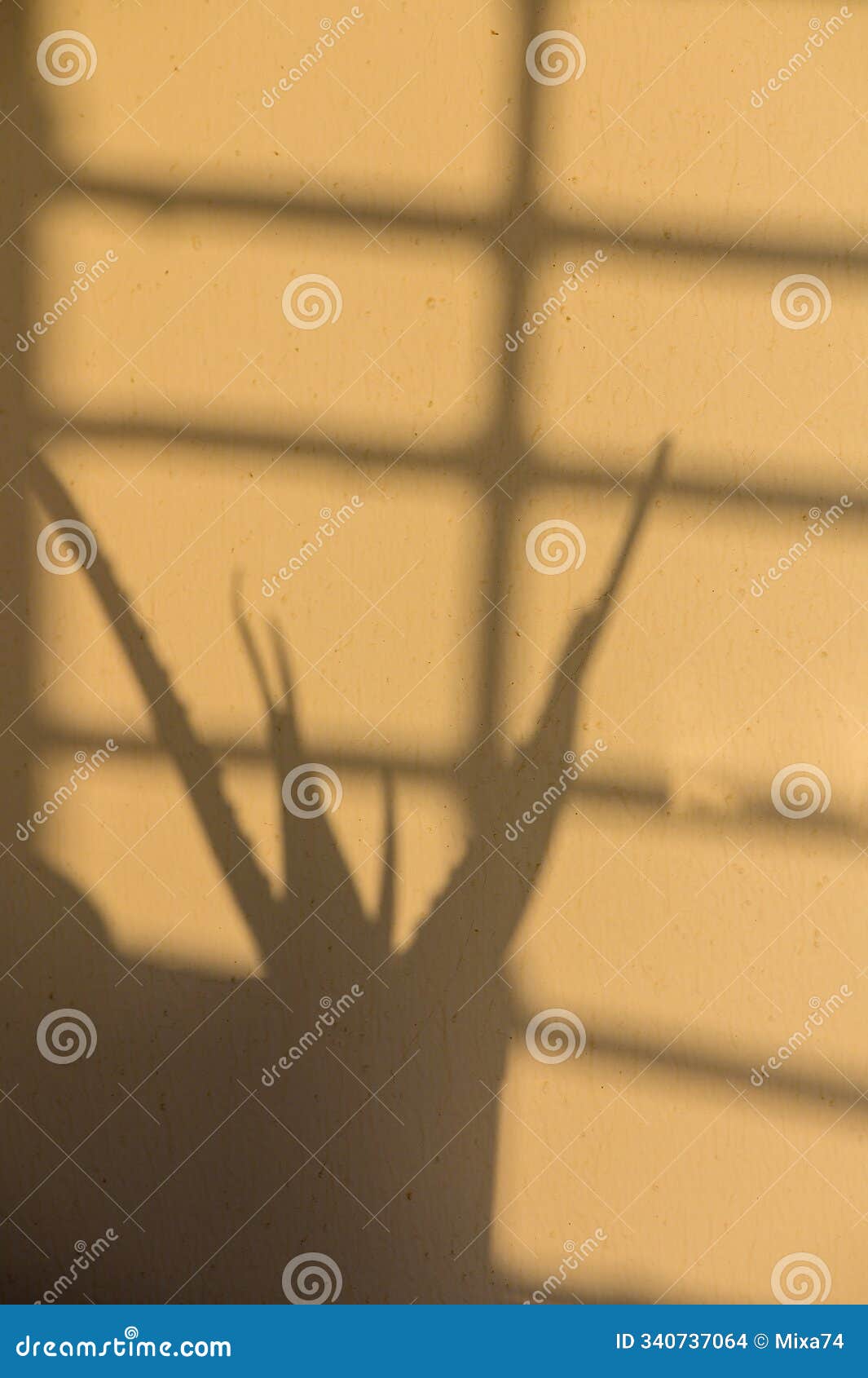Shadows Dancing Across a Warm Yellow Wall, Giving Life To the ...