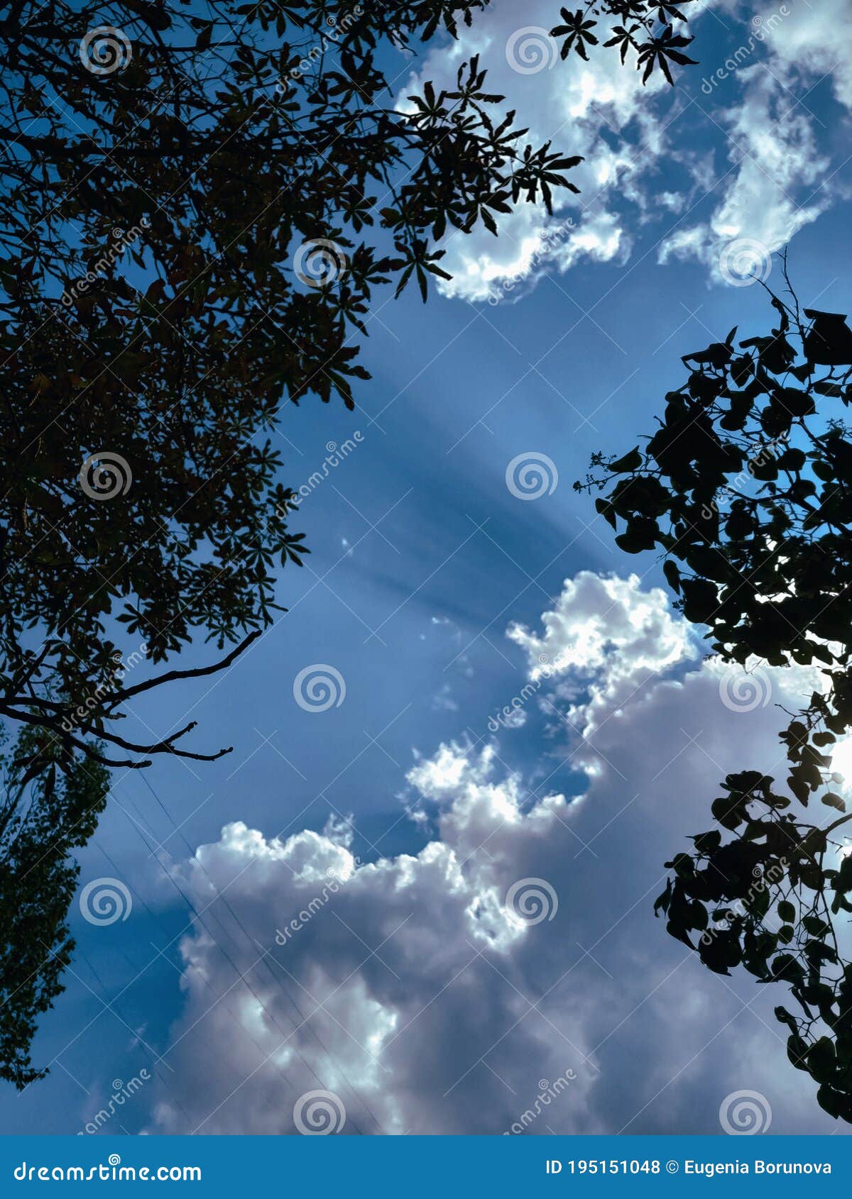 Sun Rays through Clouds, Trees, Nature Stock Photo - Image of sunshine ...