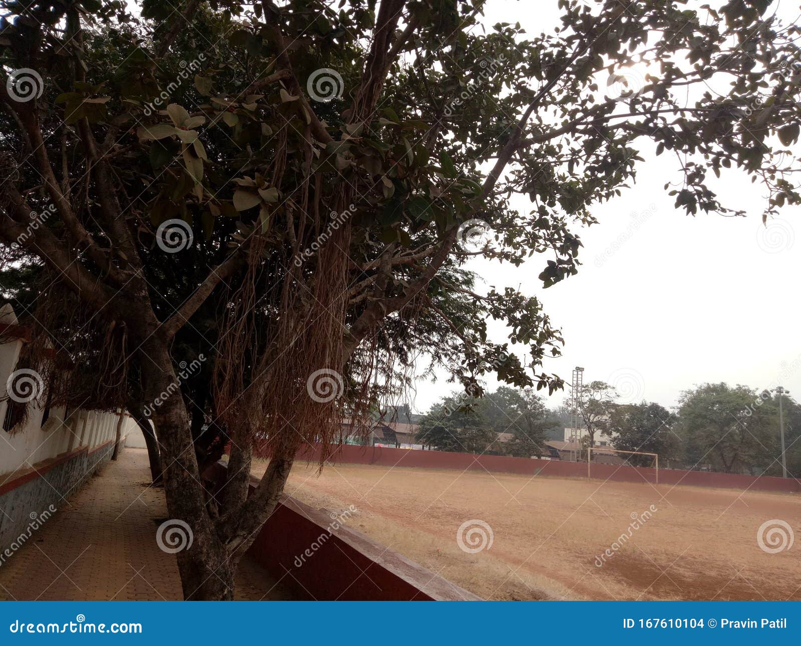 Foodboll Stock Photos - Free & Royalty-Free Stock Photos from Dreamstime