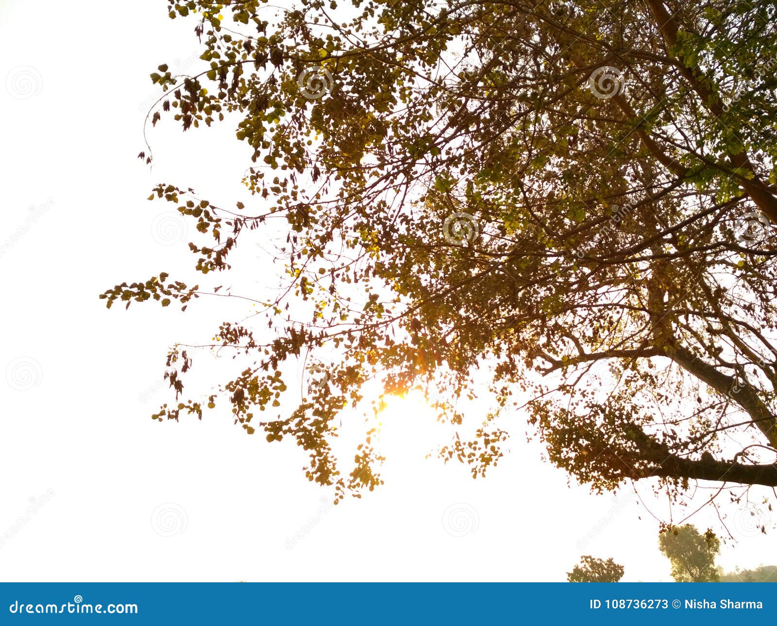 Landscape stock image. Image of fodder, forest, farming - 108736273