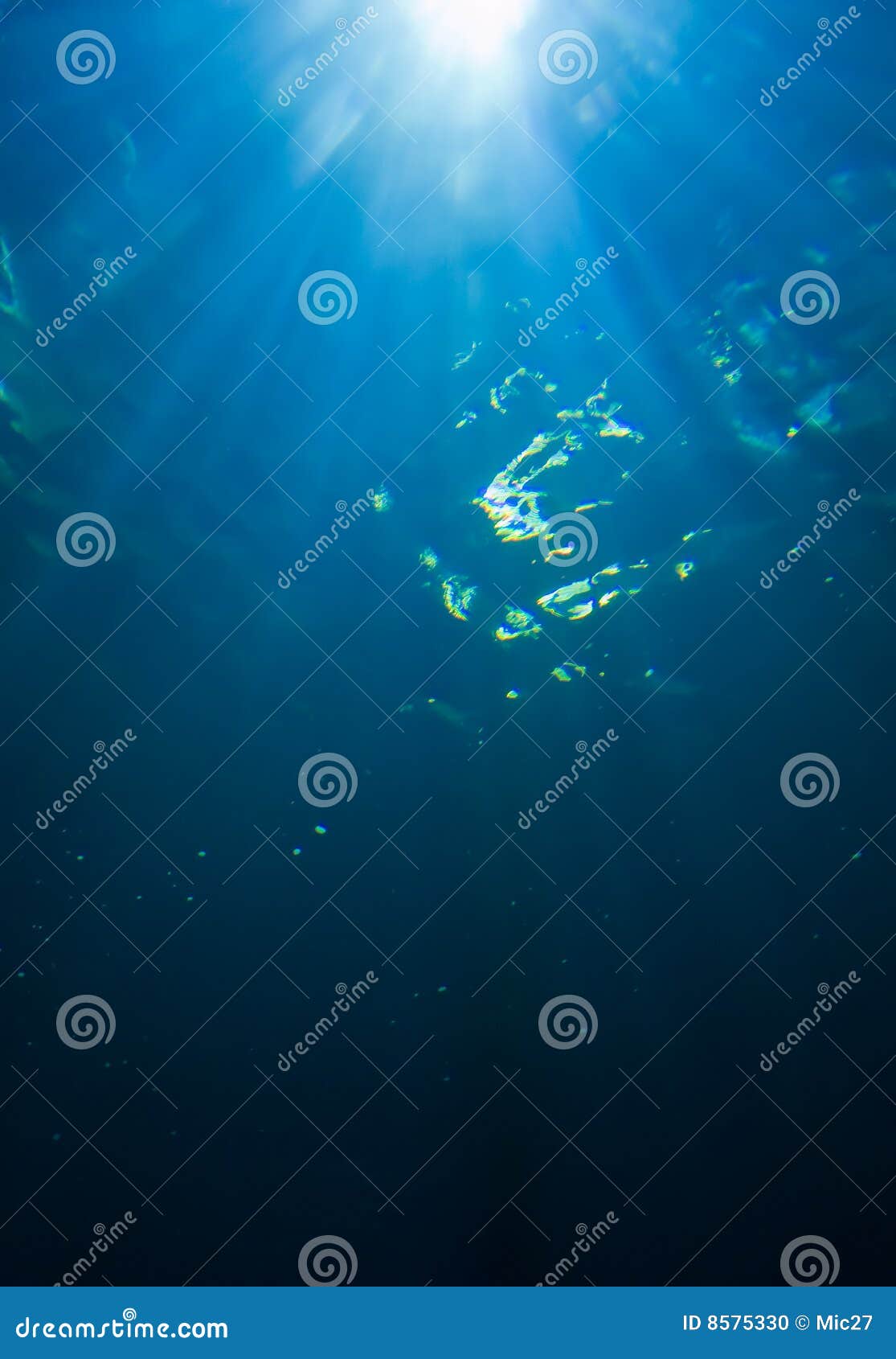 Underwater Sunlight Wallpaper
