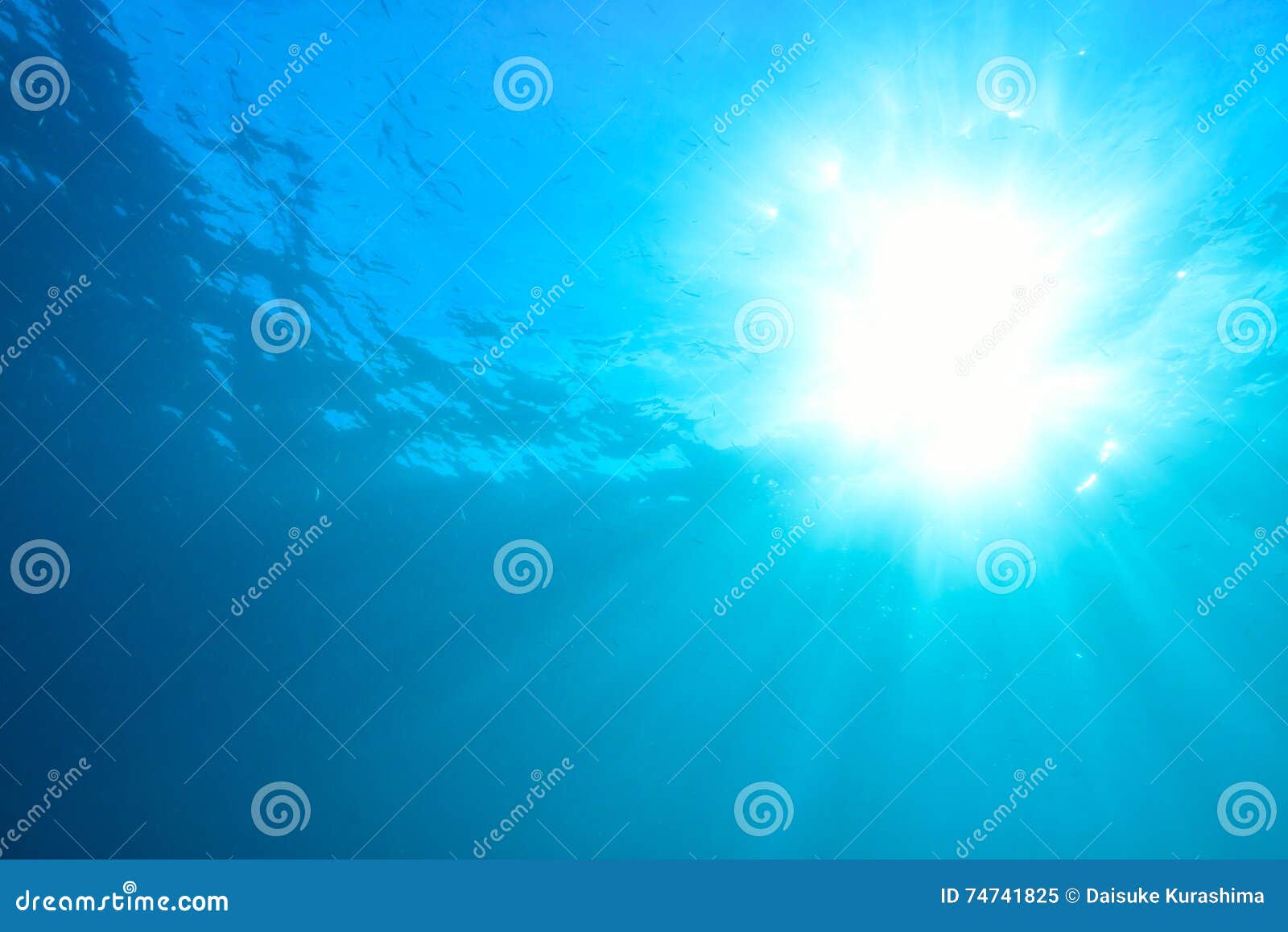Sunlight into underwater stock image. Image of liquid - 74741825