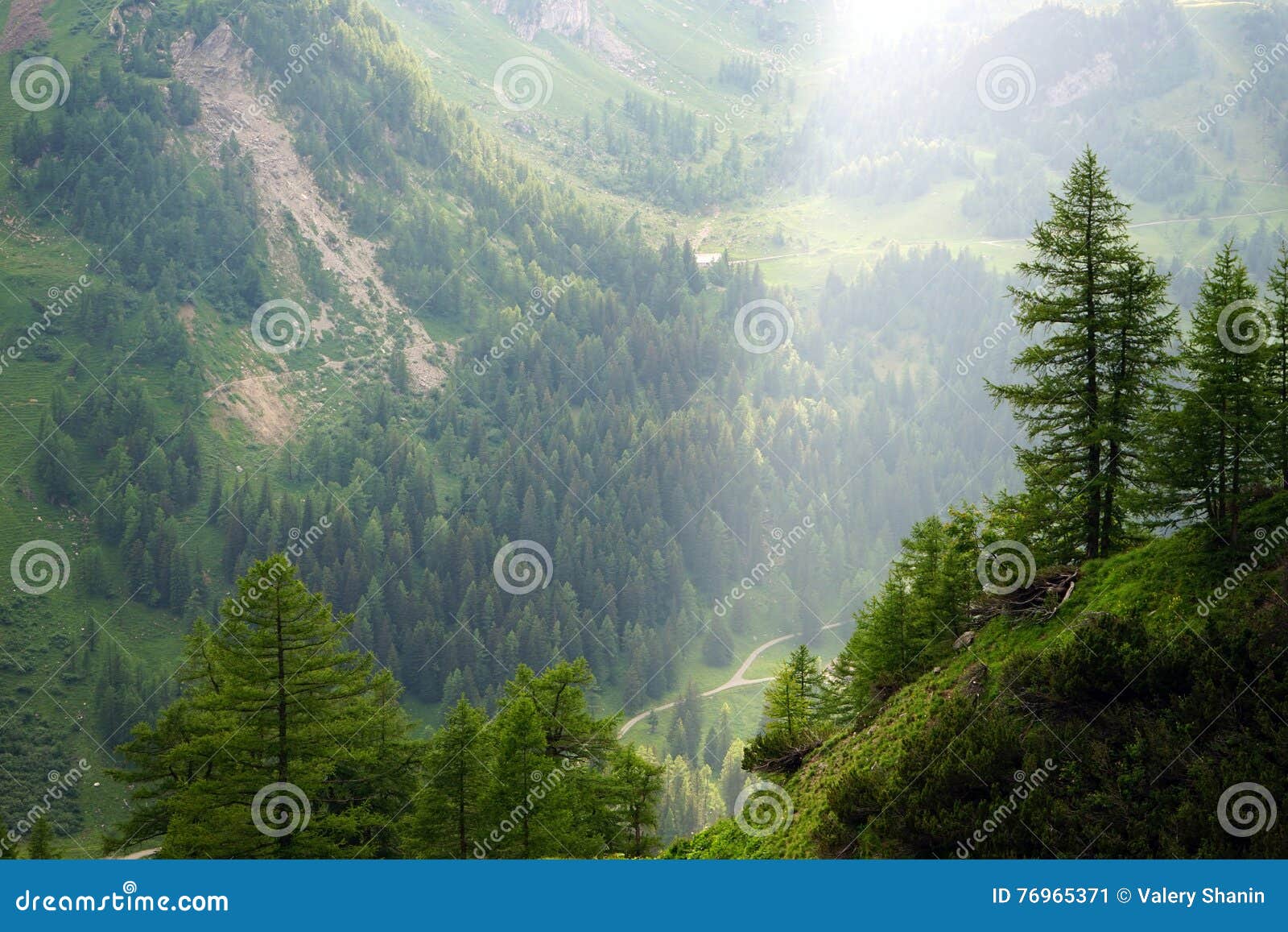 Sunlight in valley stock image. Image of view, forest - 76965371
