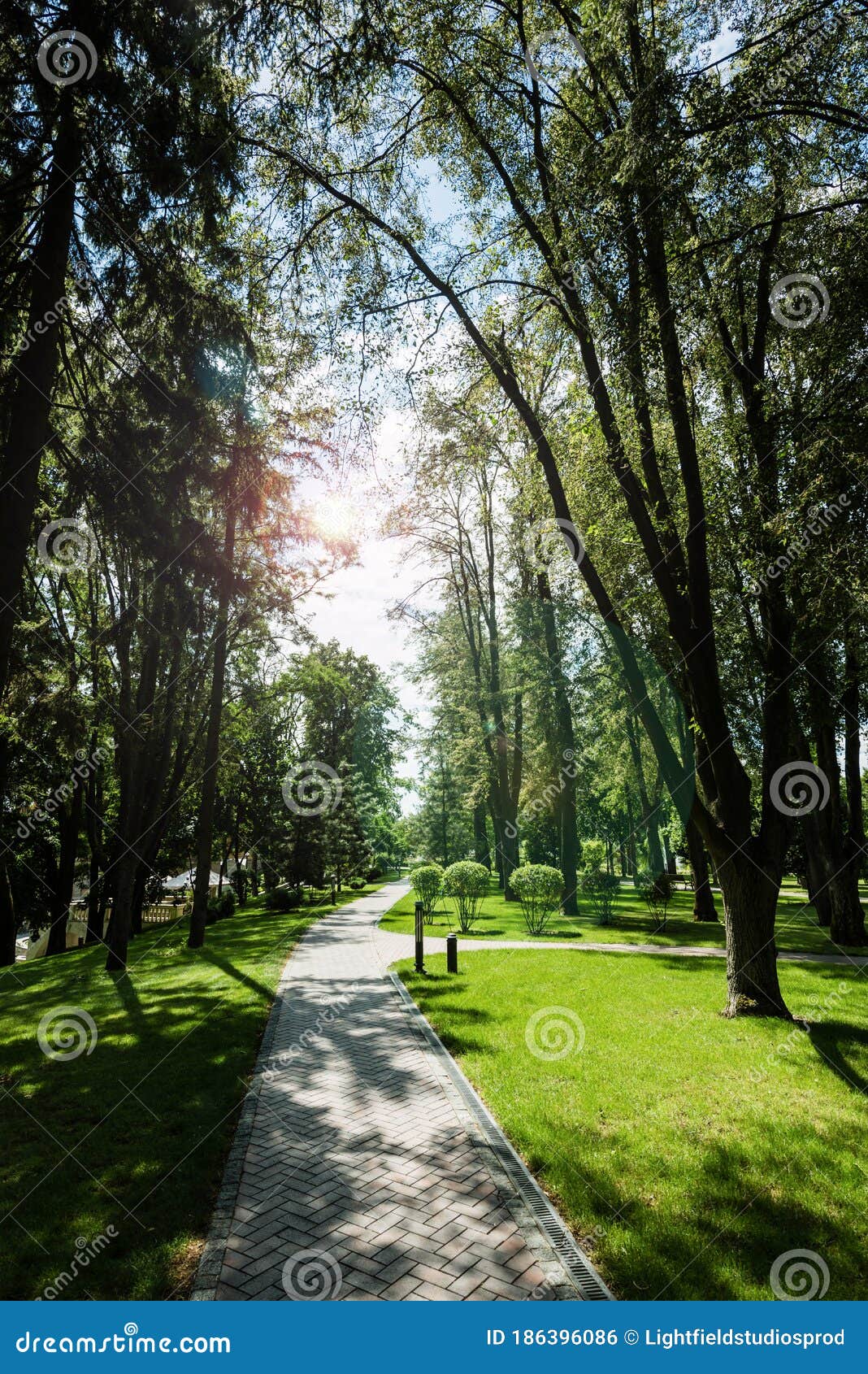 Sunlight on Walkway with Shadows from Trees Stock Photo - Image of ...