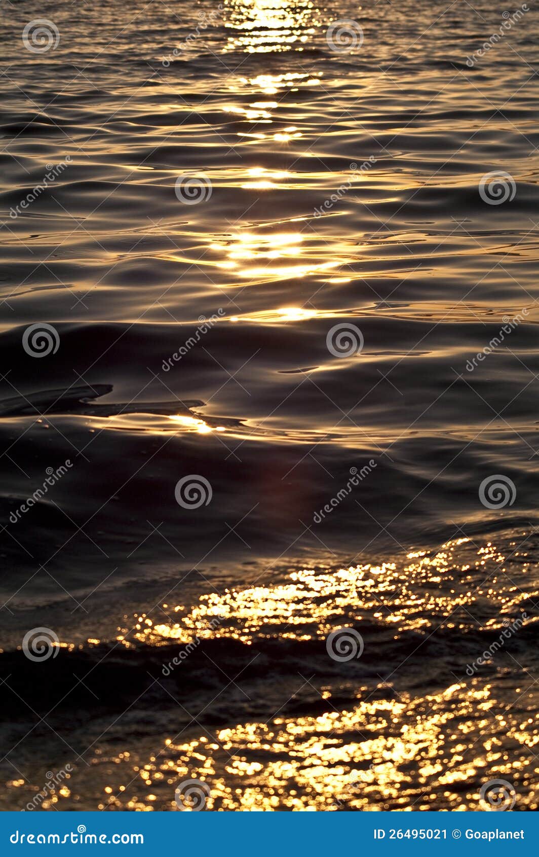 Sunlight on the water stock image. Image of fall, sunny - 26495021
