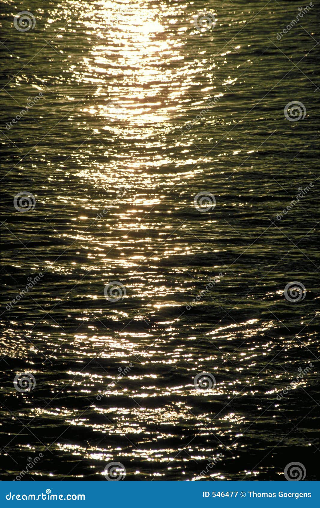 Sunlight in the water stock image. Image of light, reflection - 546477