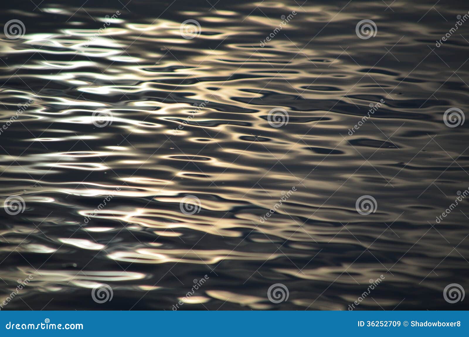 Sunlight on the Water stock image. Image of ripples, ocean - 36252709