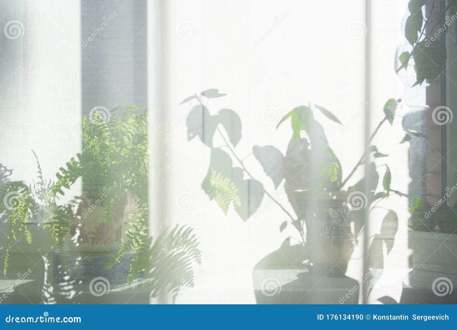 Sunlight from Window into a Room Stock Photo - Image of cordless ...