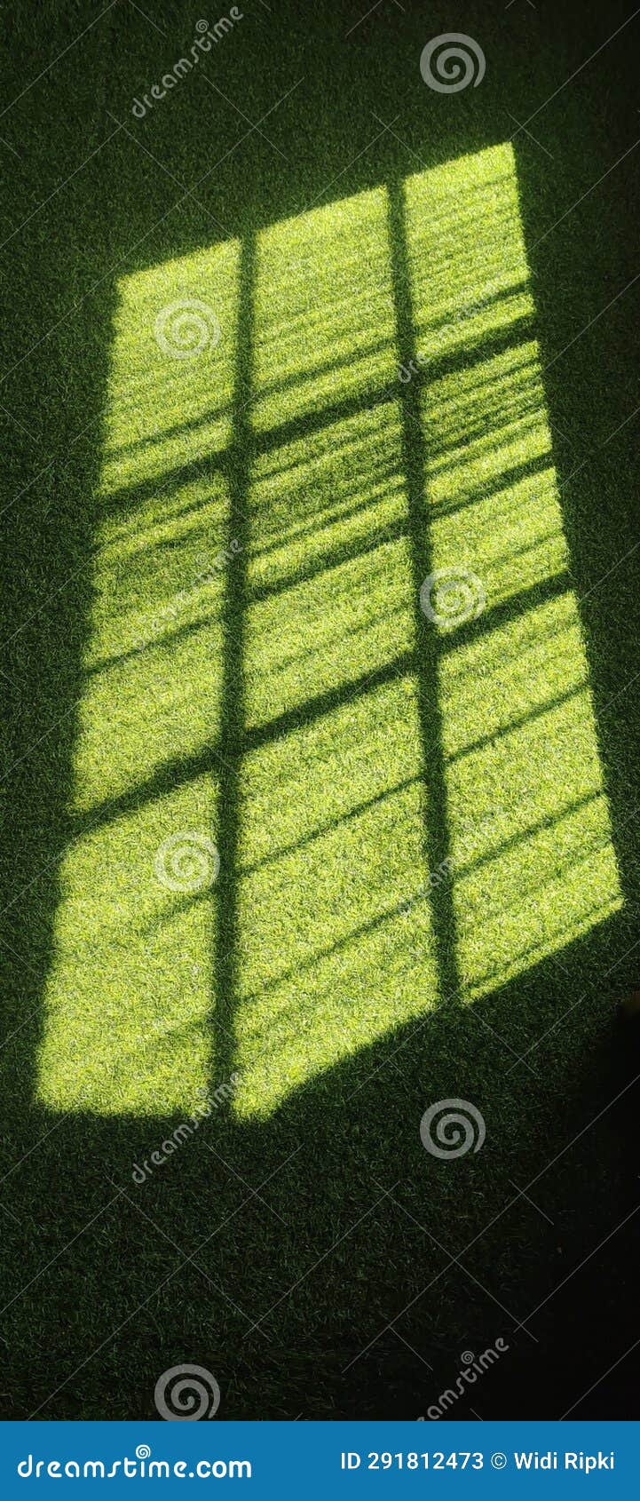 Sunlight and windows stock image. Image of flooring - 291812473