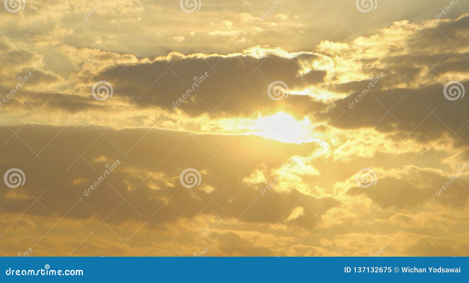 Sunlight Yellow Scenes Clouds and Sky Morning Day 1 - Image Stock Image ...