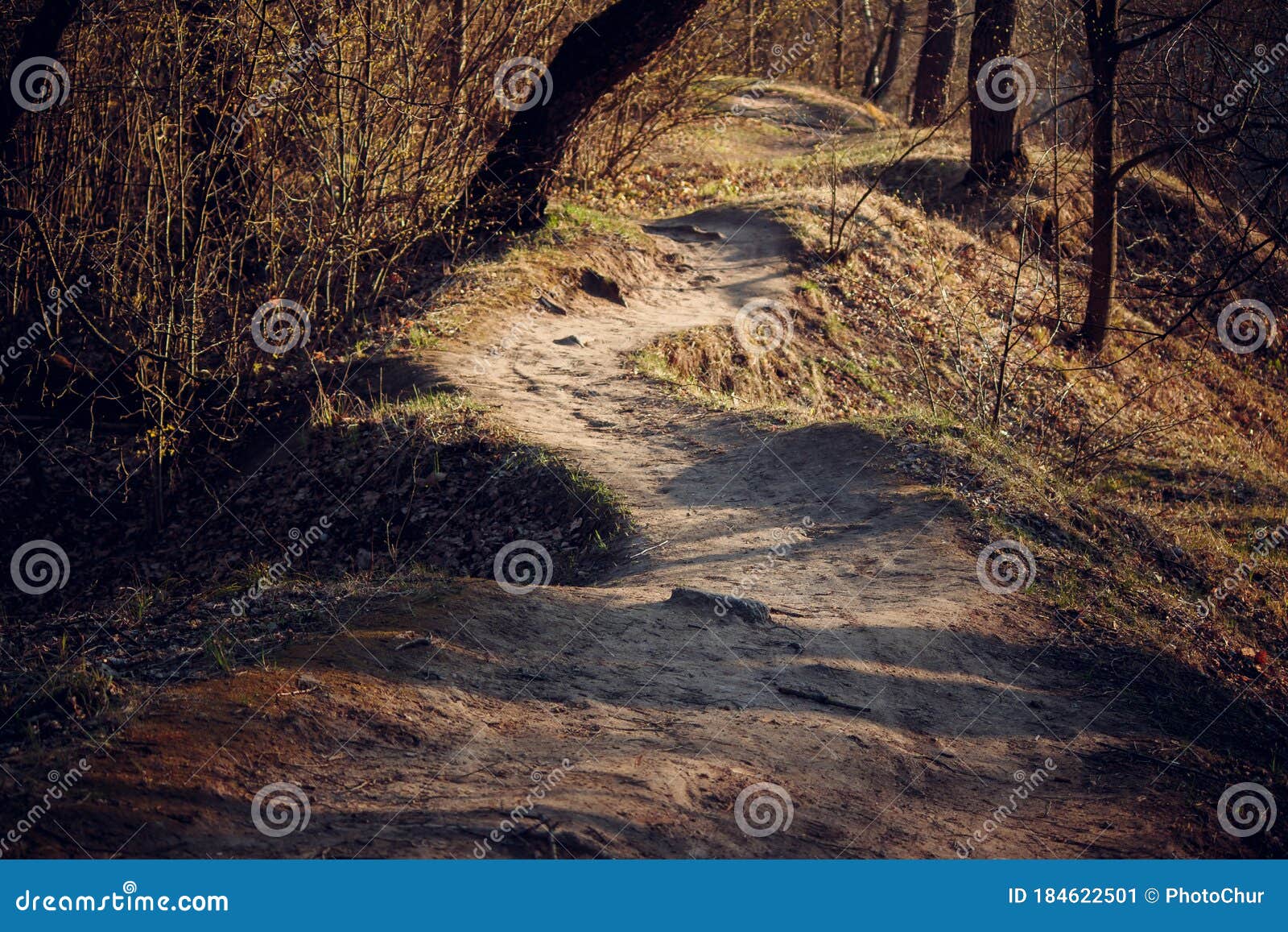 Sunlit Beautiful Winding Path in Nature Stock Image - Image of dark ...