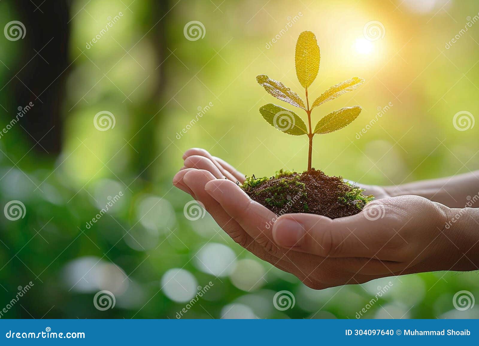 Shields With Human Arms Vector Illustration | CartoonDealer.com #22975858