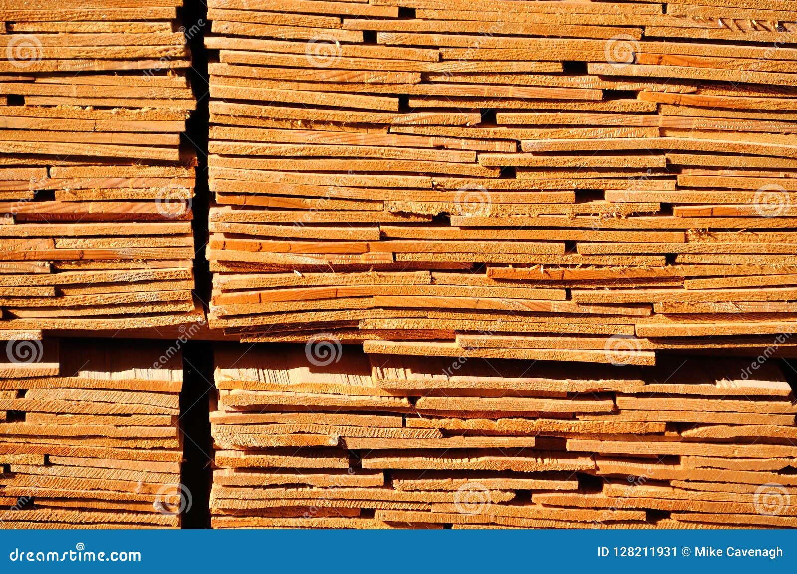 Sunlit Cut Timber Board Stack with End Pattern Stock Image - Image of ...
