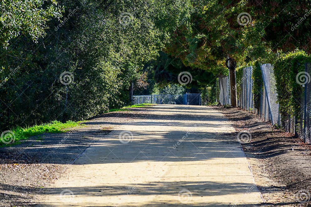 A Sunlit Dirt Pathway, Walking Path Bordered by Dense Green Trees and a ...