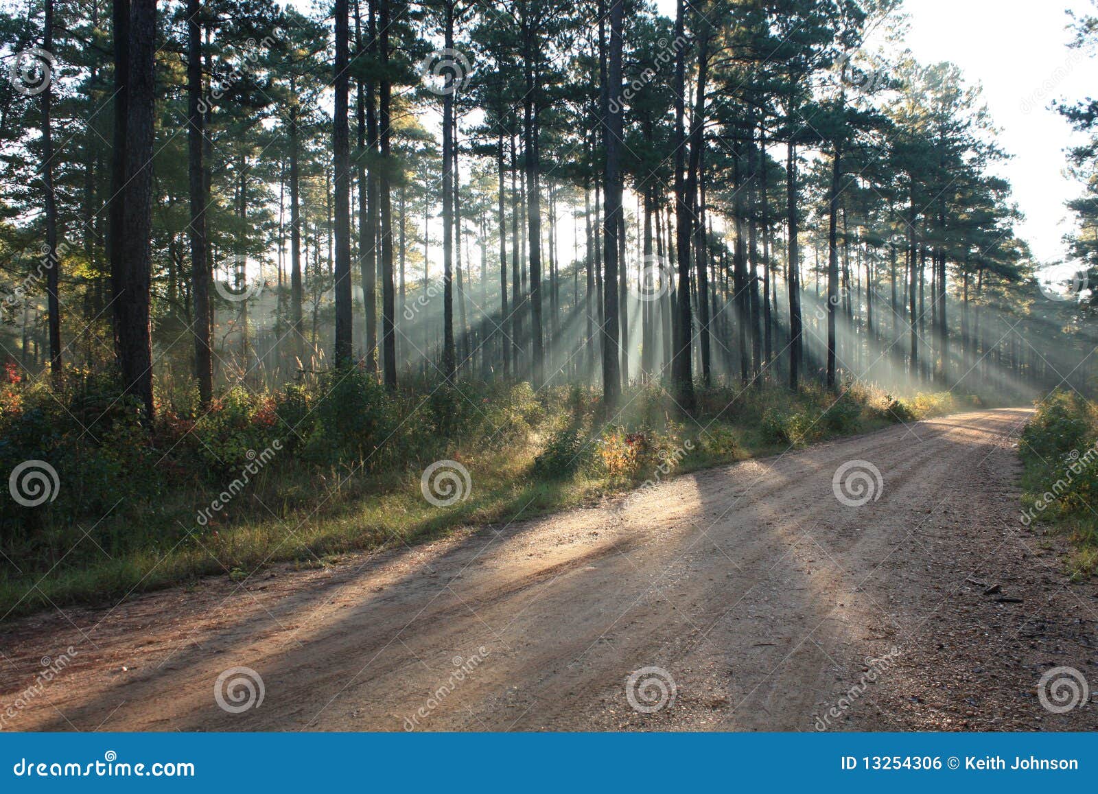 Sunlit dirt road stock photo. Image of gravel, illuminated - 13254306