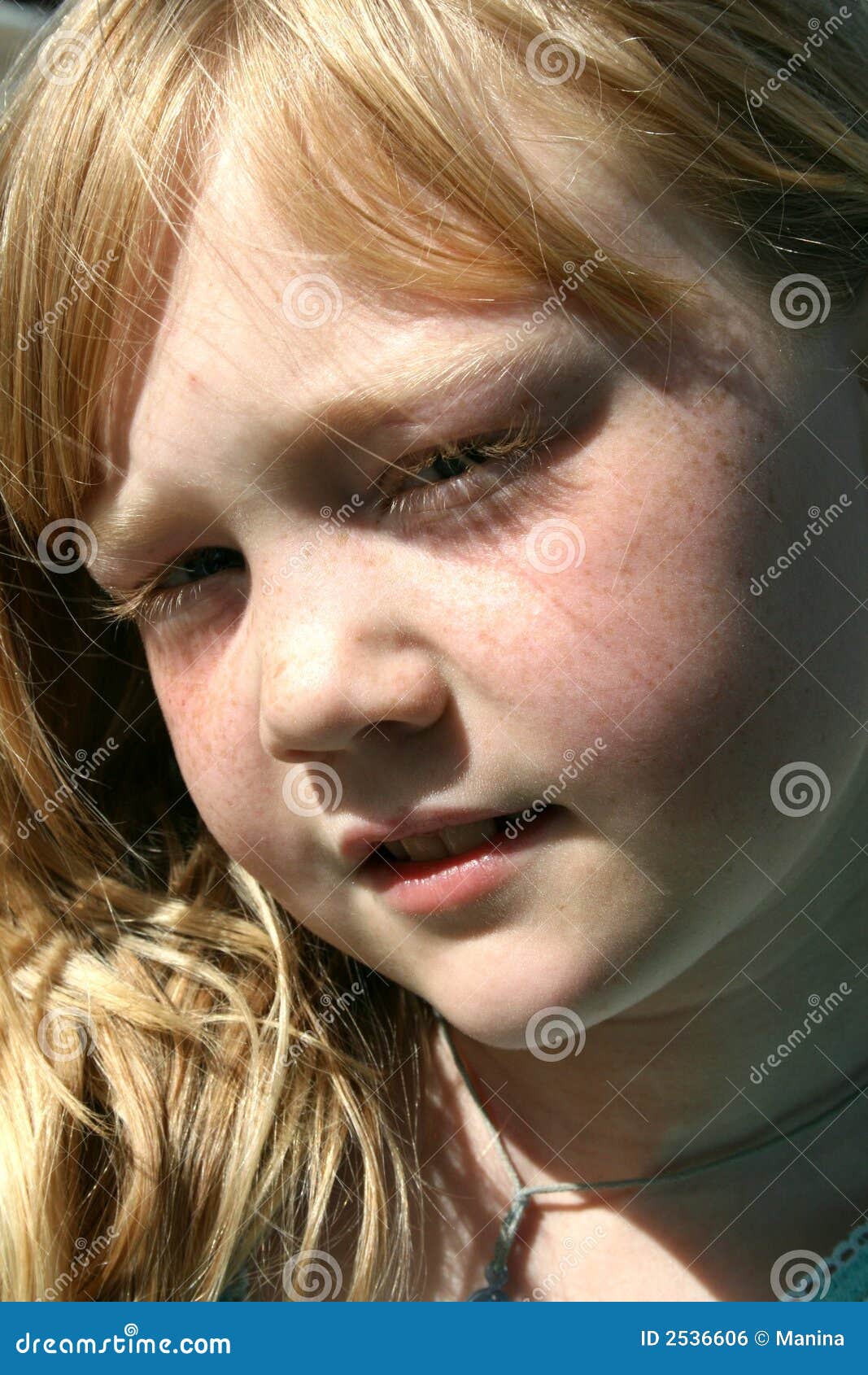 Sunlit Face stock photo. Image of young, pretty, sunlit - 2536606