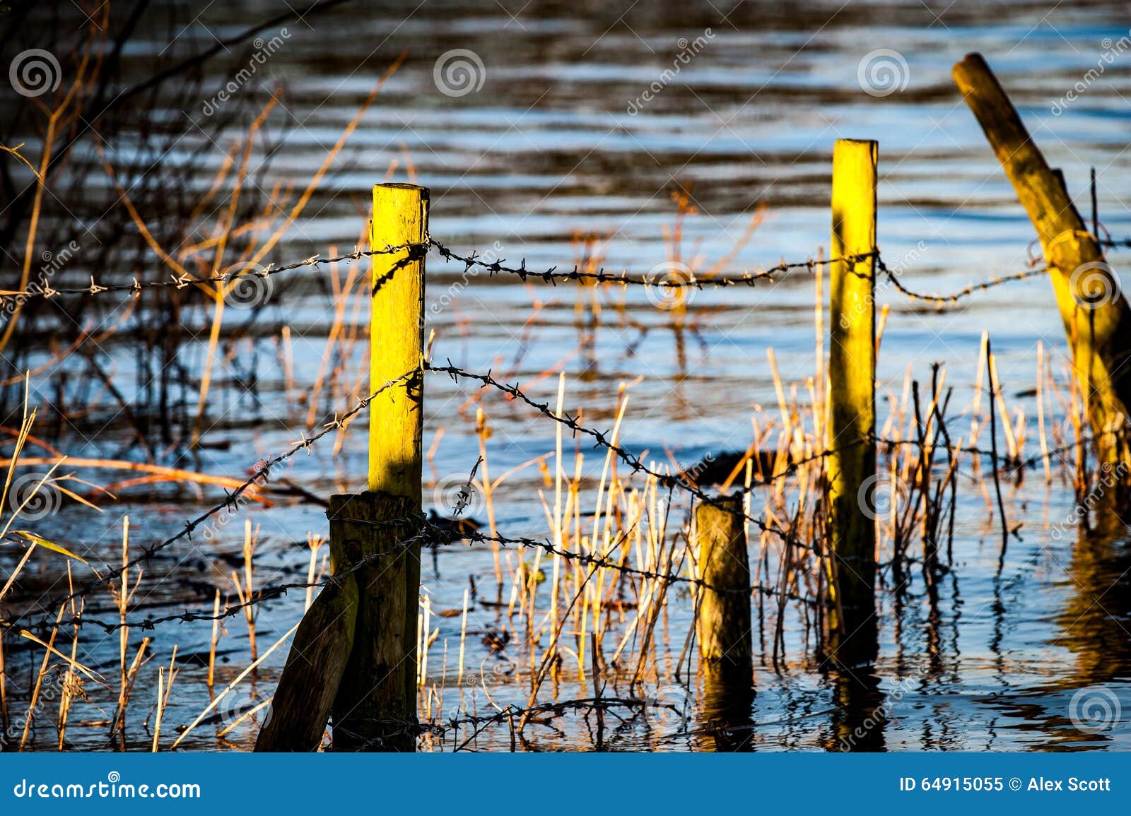 Sunlit Fence Posts in Flood Water Stock Image - Image of water, wire ...