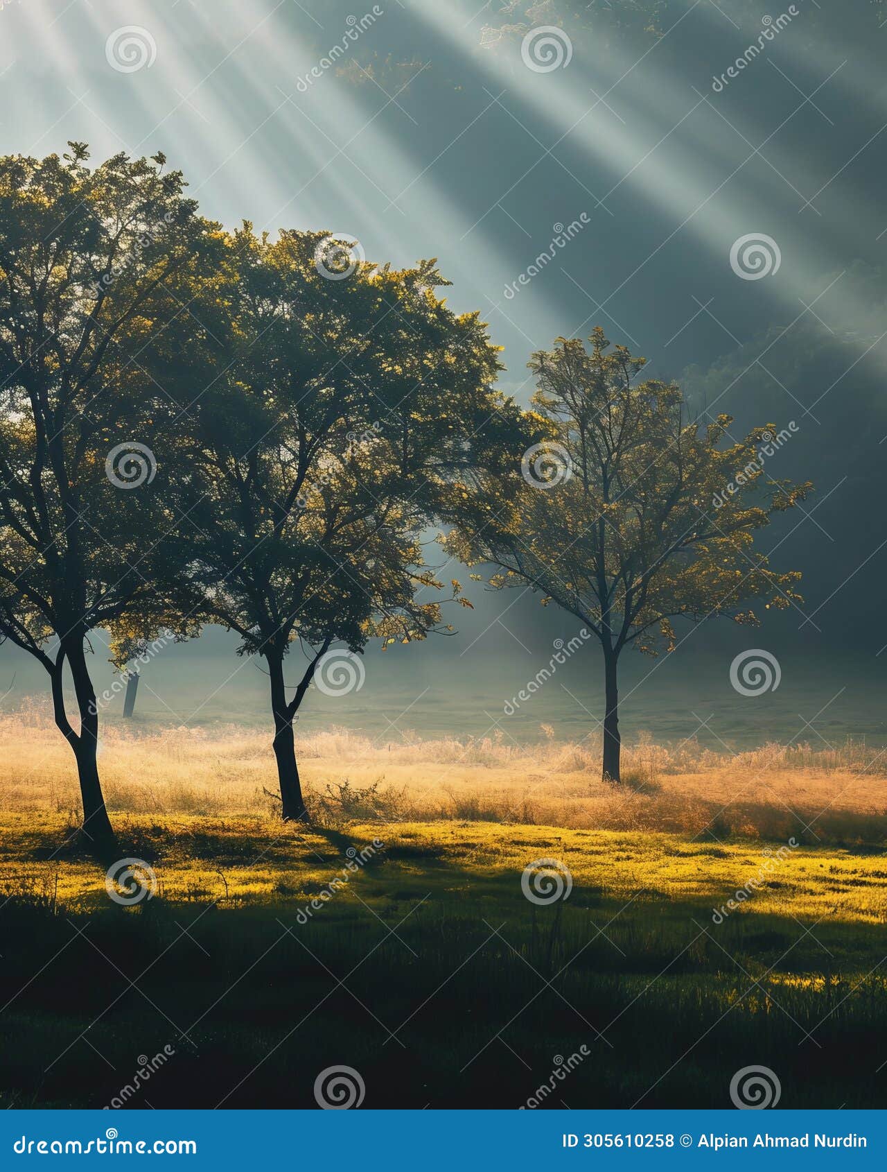 Sunlit Forest Pathway in Dawn, Generative AI Stock Illustration ...