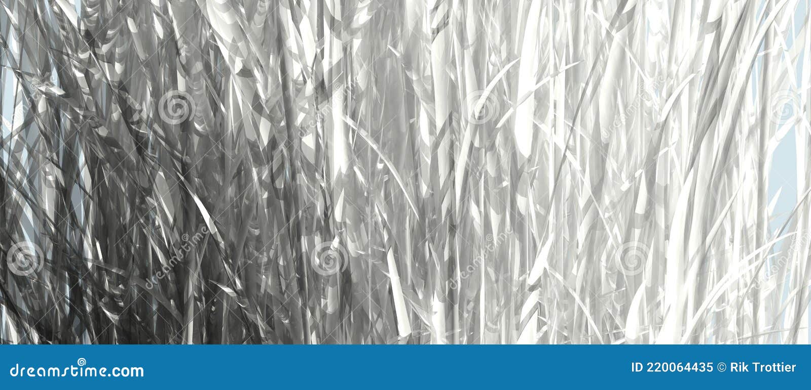 Sunlit Gray Grass abstract stock image. Image of clump - 220064435