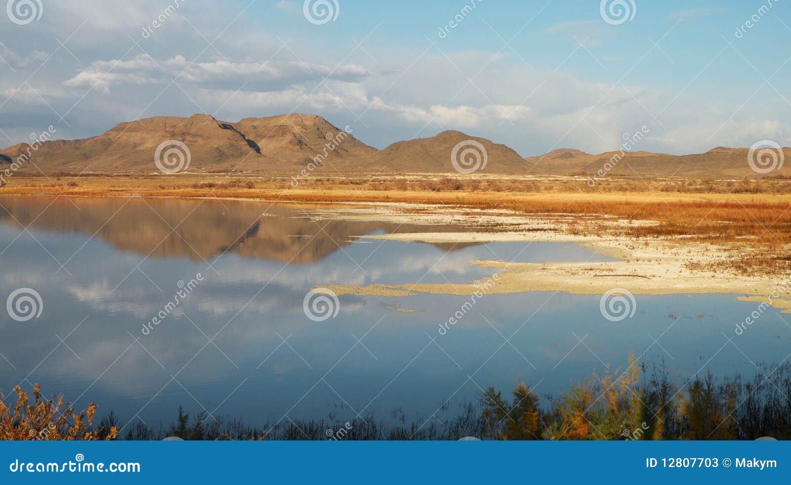 Sunlit Landscape stock image. Image of beautiful, natural - 12807703