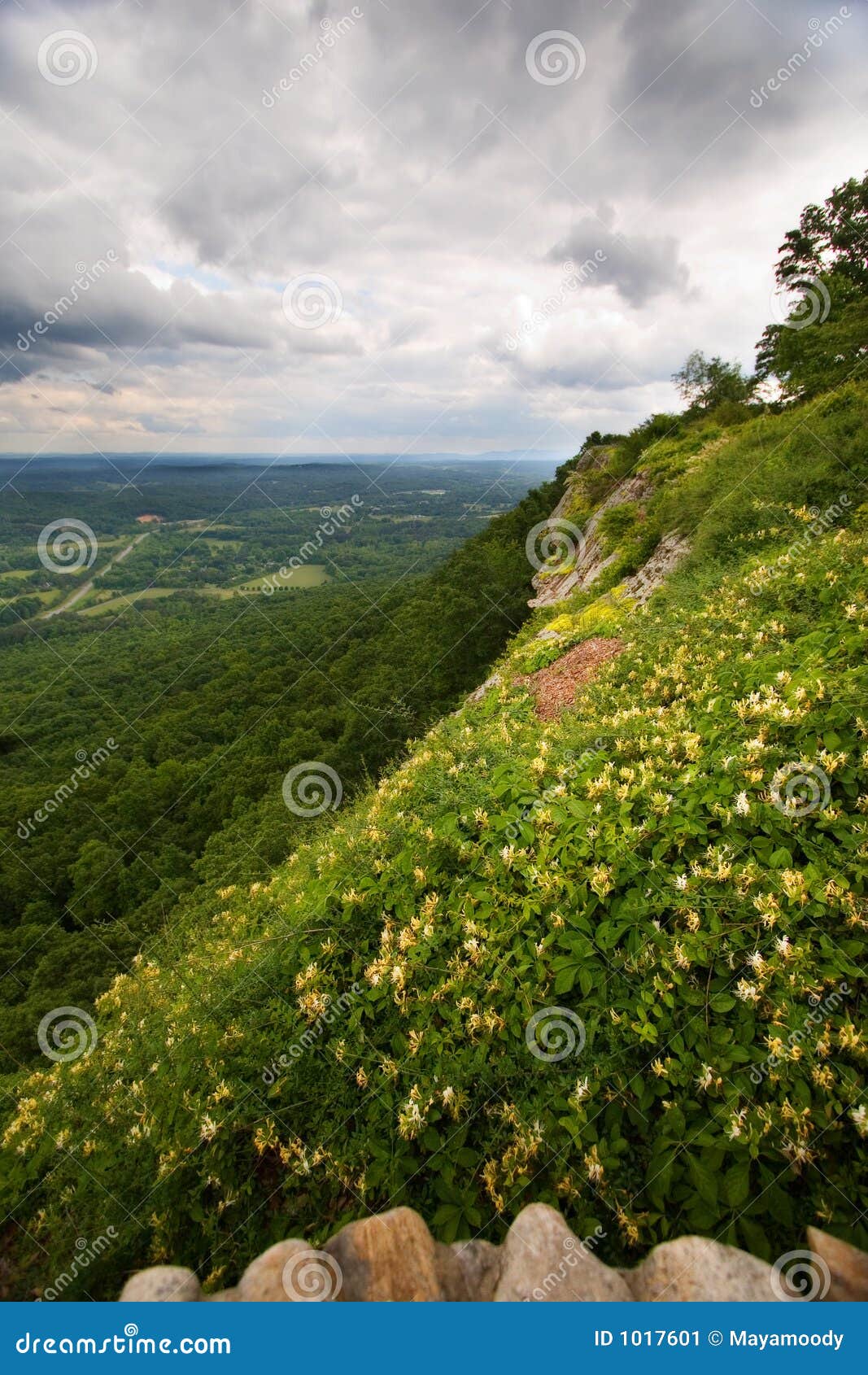 Sunlit Meadow As Viewed from Lookout Mountain Georgia Stock Image ...