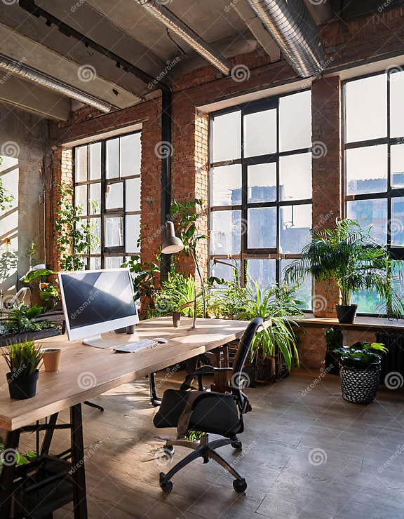 Sunlit Modern Office with Plants and a Computer Setup Stock ...