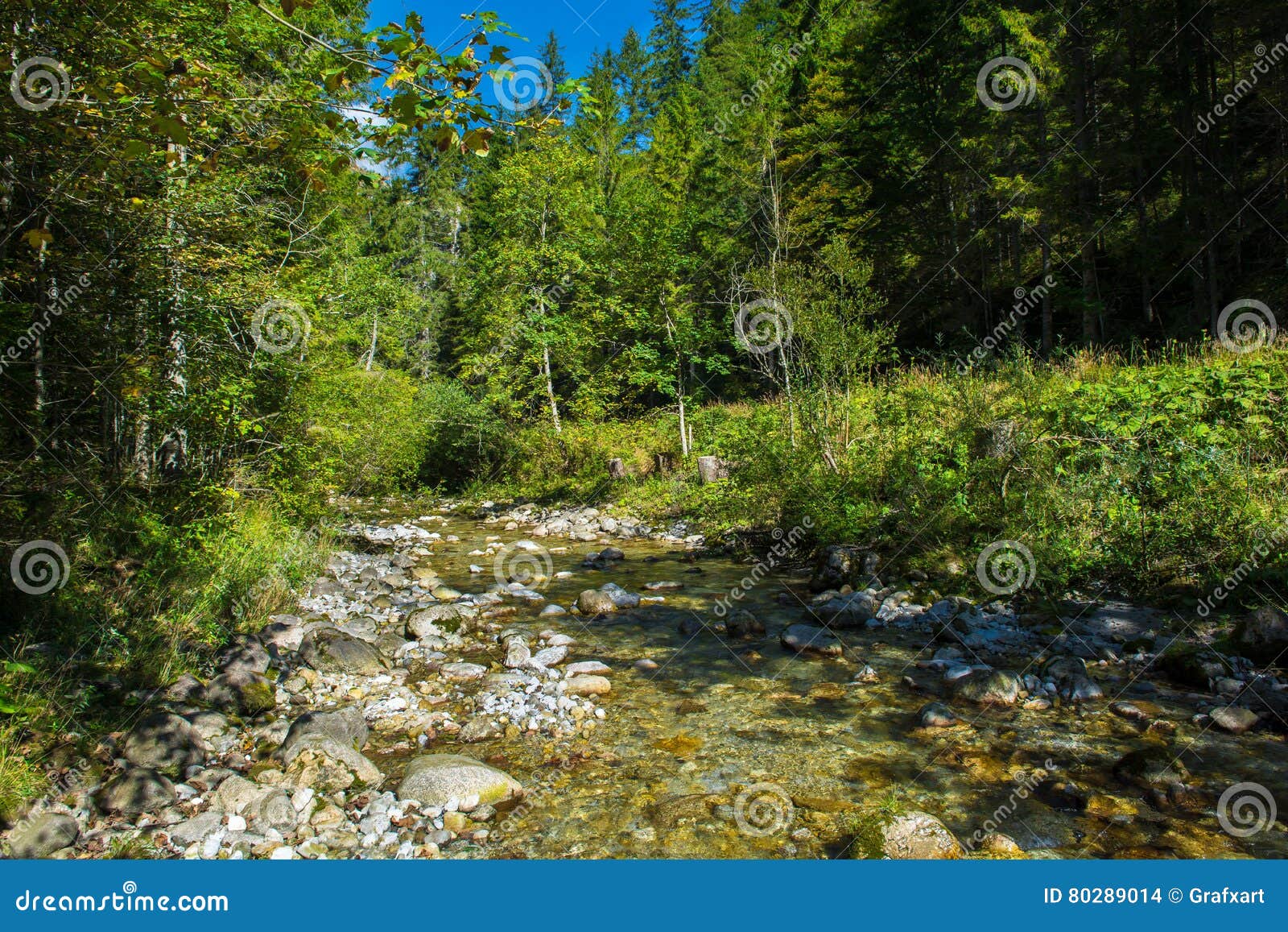 Sunlit Mountain Creek with Clear Water in Austria Stock Photo - Image ...