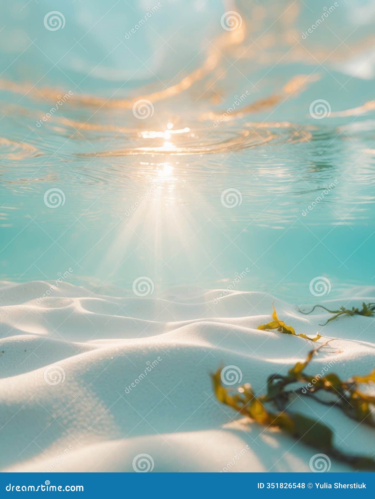 Sunlit Ocean Underwater Scene with Light Rays and Rippling Sand Stock ...