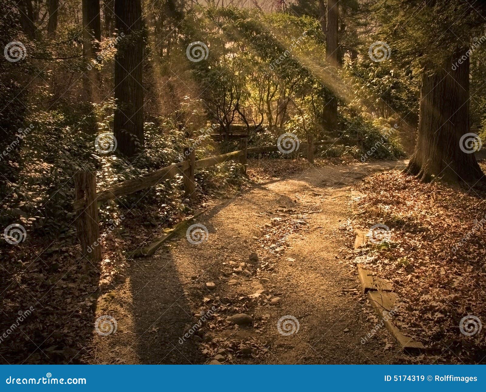Sunlit Path stock image. Image of november, landscape - 5174319
