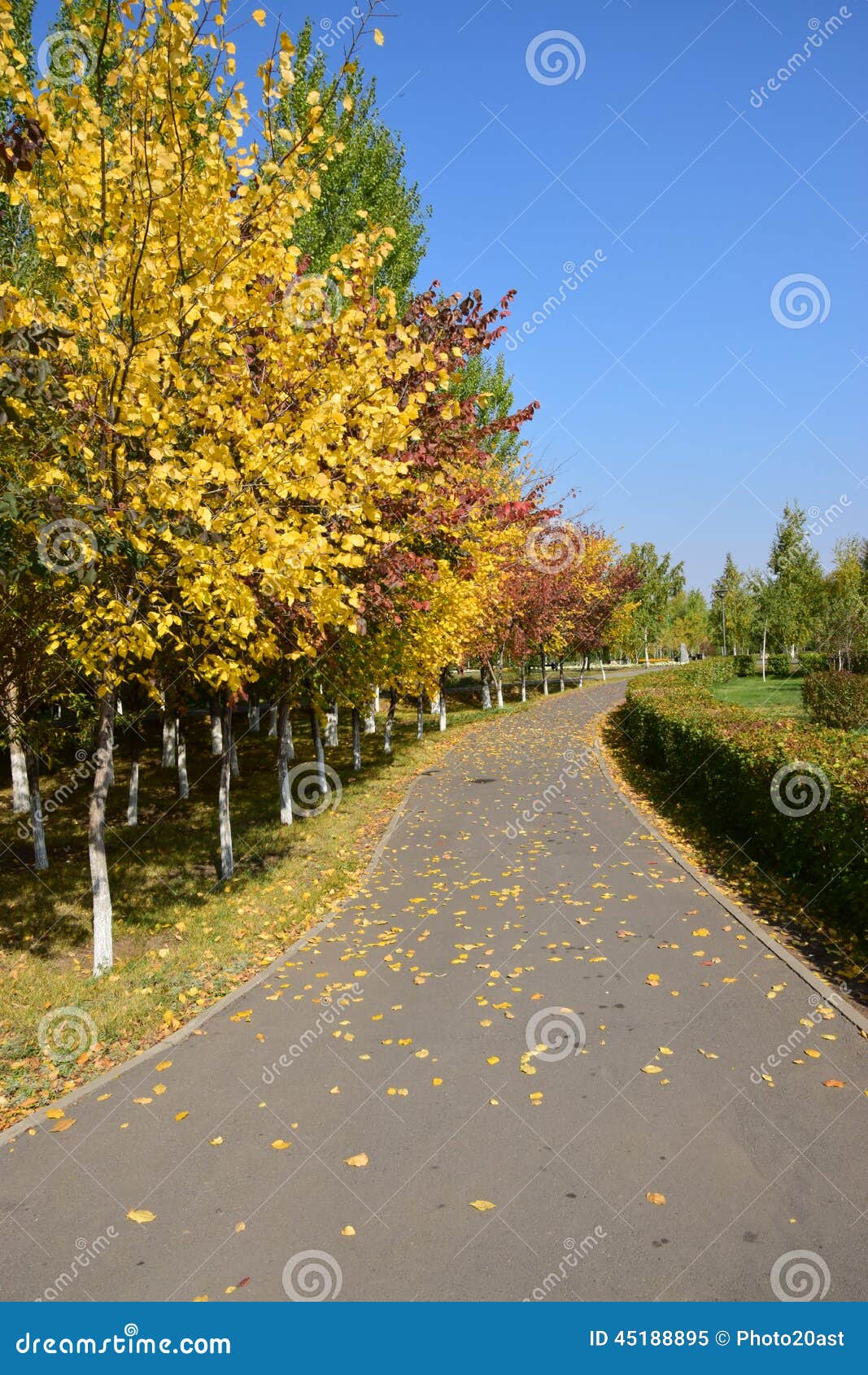 Sunlit path in the park stock image. Image of graphics - 45188895