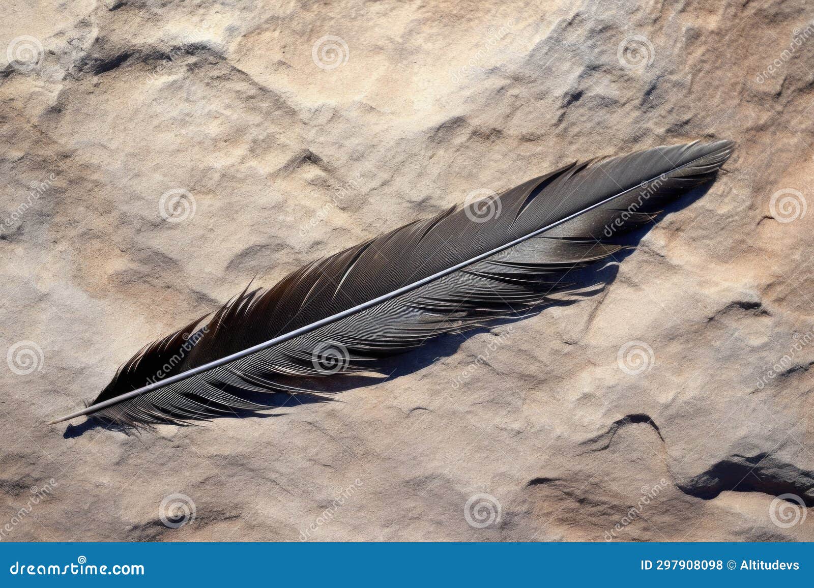 Sunlit Picture of a Glossy Black Raven Feather Stock Photo - Image of ...