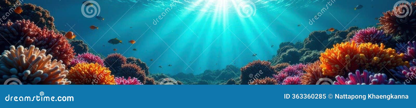 Stunning Underwater Light Rays Filtering Through The Ocean Surface ...