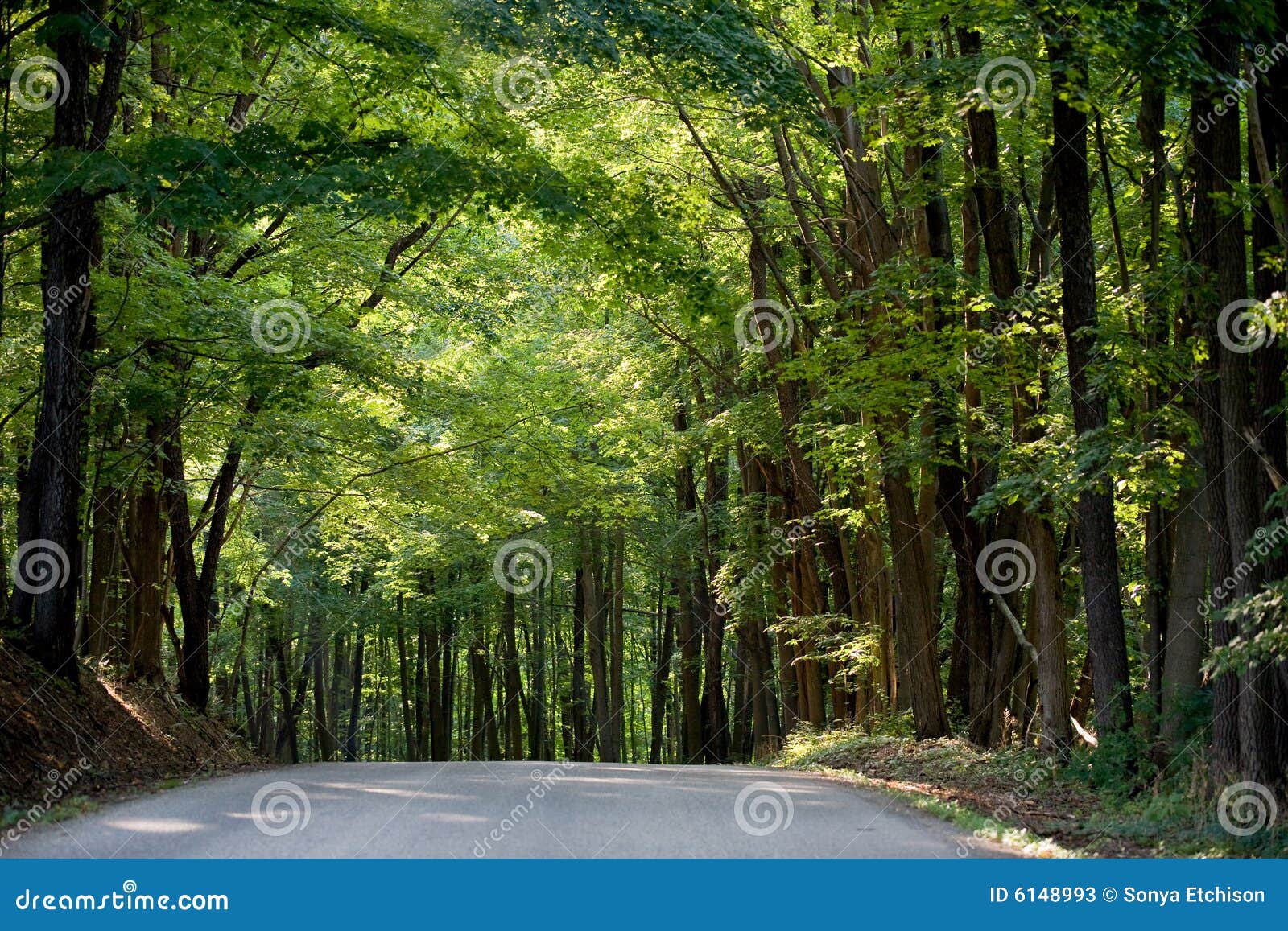 Sunlit Road stock image. Image of daylight, environment - 6148993