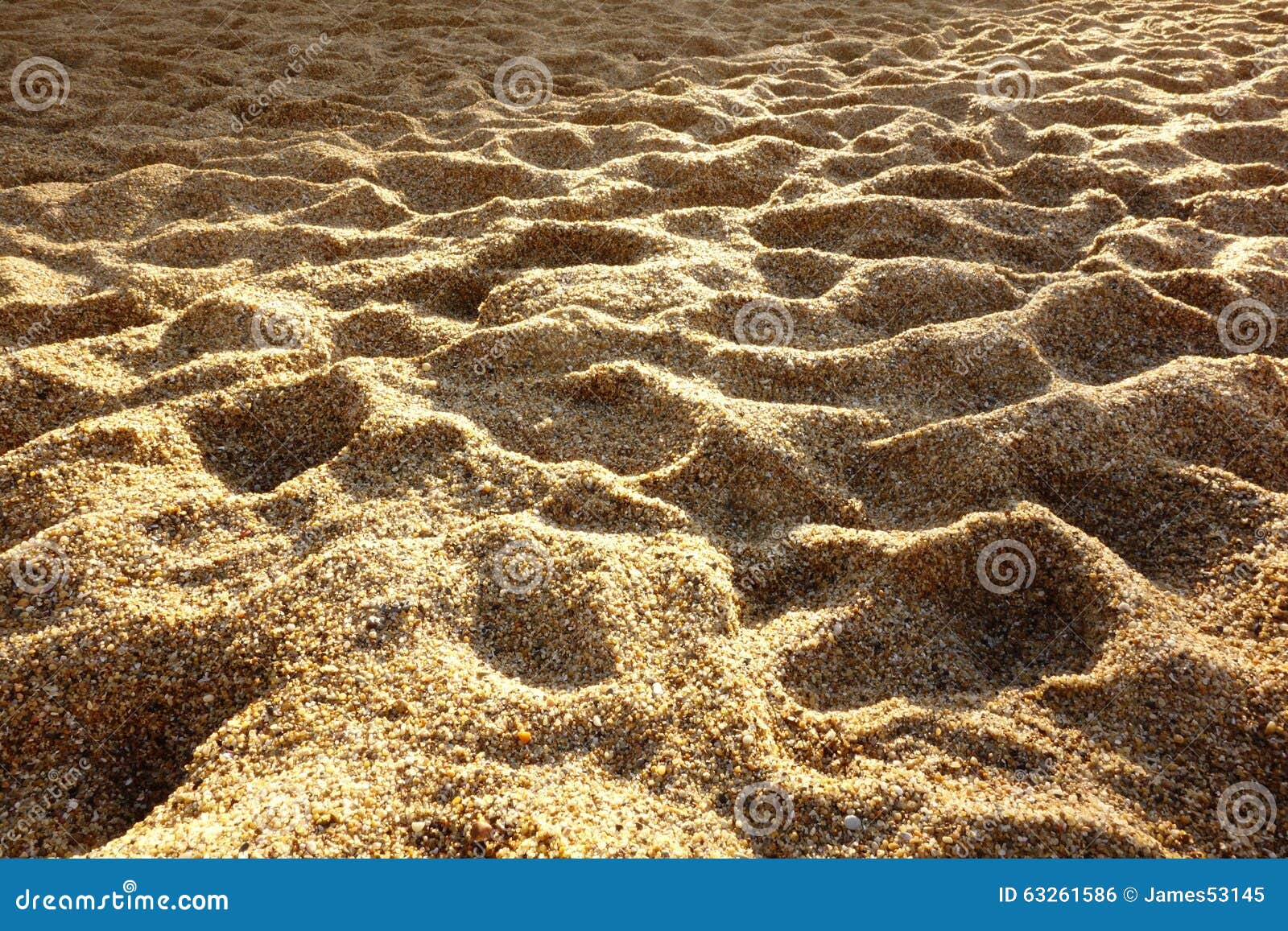 Sunlit Sand stock photo. Image of golden, coarse, beach - 63261586