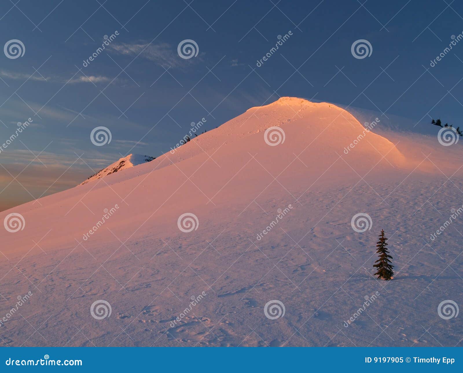 Sunlit Snowy hill stock image. Image of cold, wilderness - 9197905