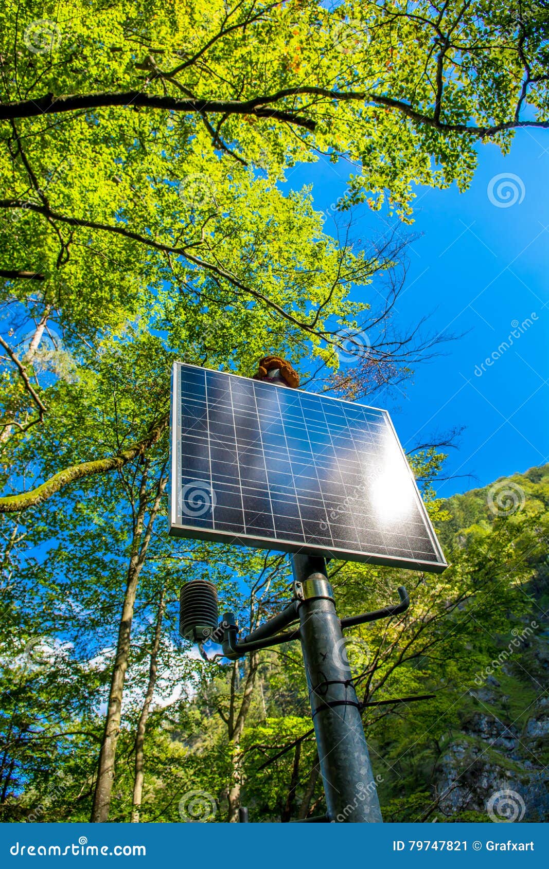 Sunlit Solar Panel in the Forest Stock Image - Image of leaves, panel ...