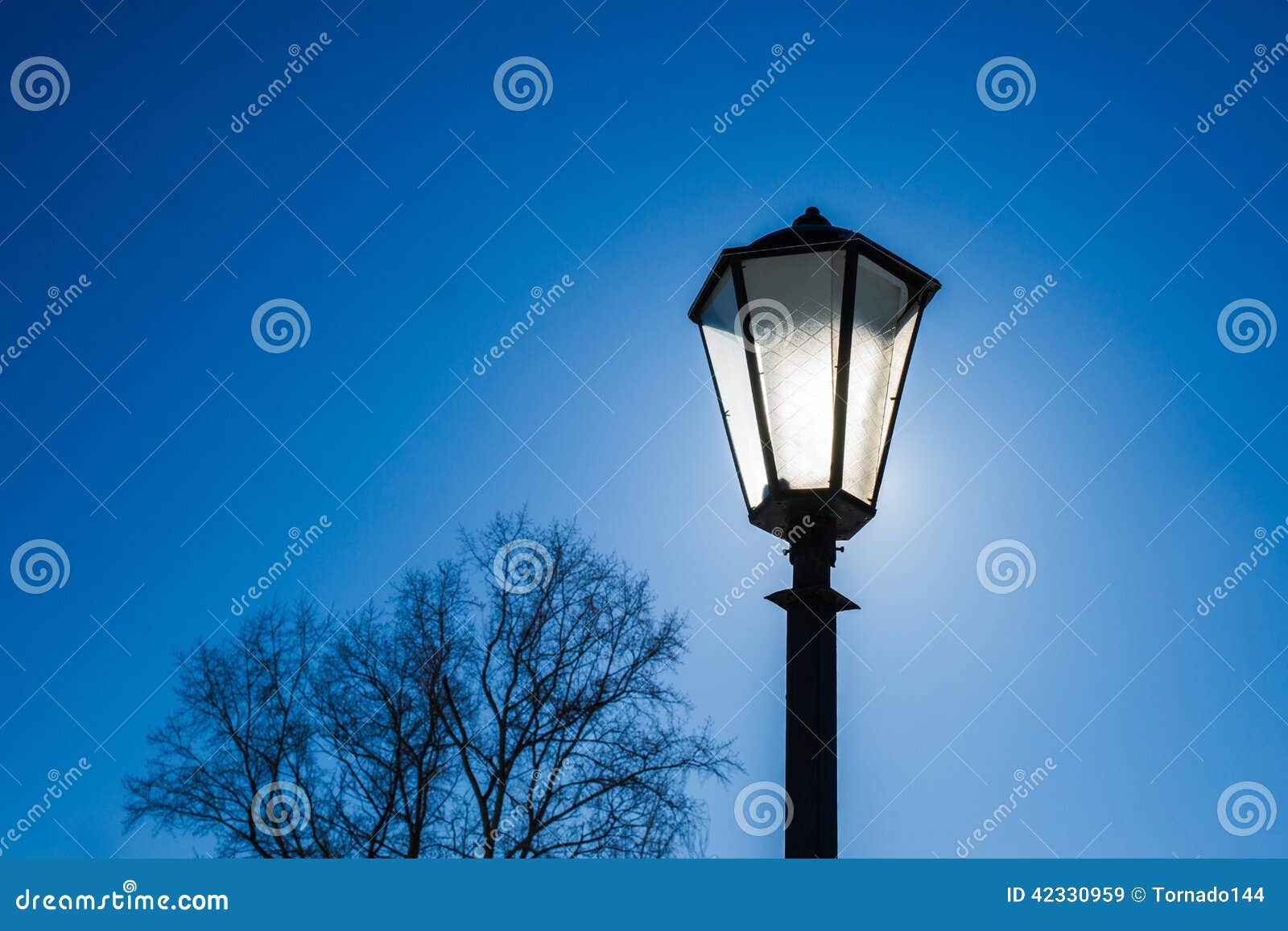 Sunlit Street Lamp and a Tree Stock Image - Image of outdoor, light ...
