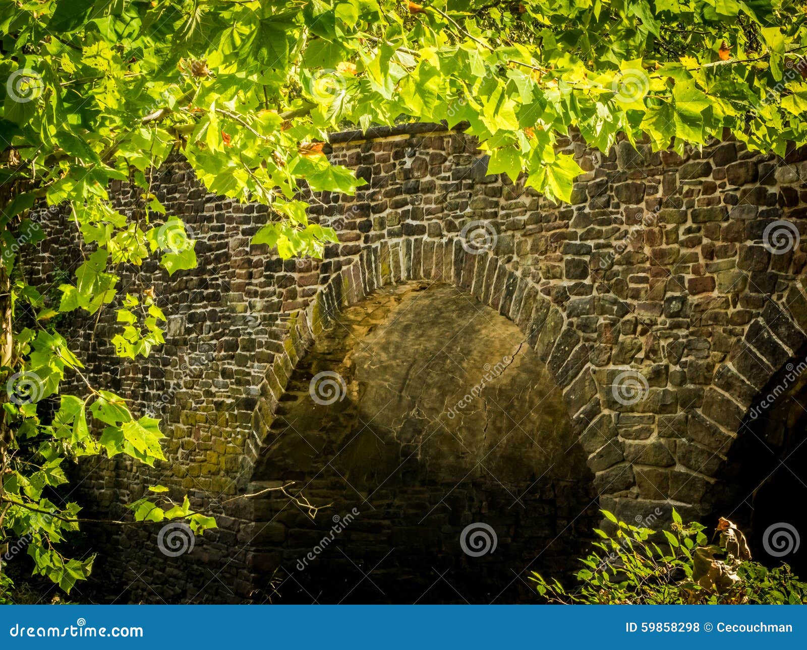 Sunlit Tree Framing Arch in Bridge Stock Photo - Image of gray, tree ...