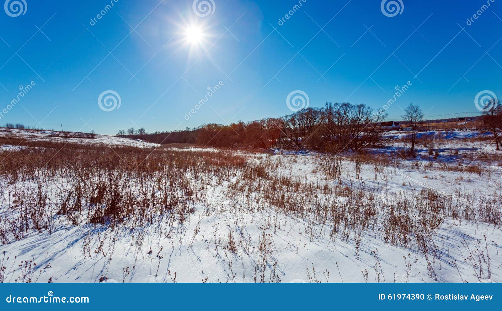 Sunlit White Snowy Field stock photo. Image of rays, freeze - 61974390