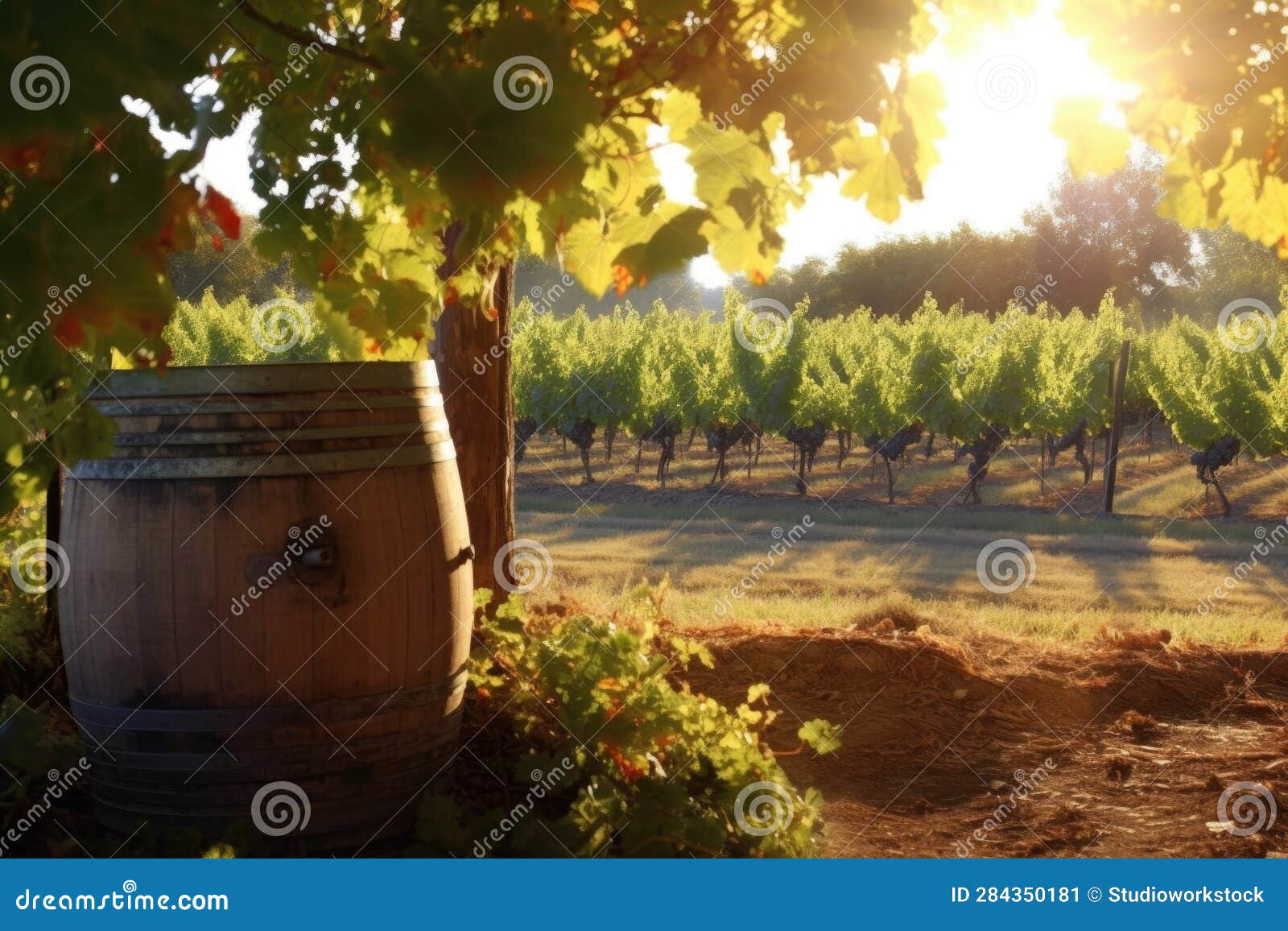 Sunlit Wooden Barrel in a Vineyard Setting Stock Illustration ...